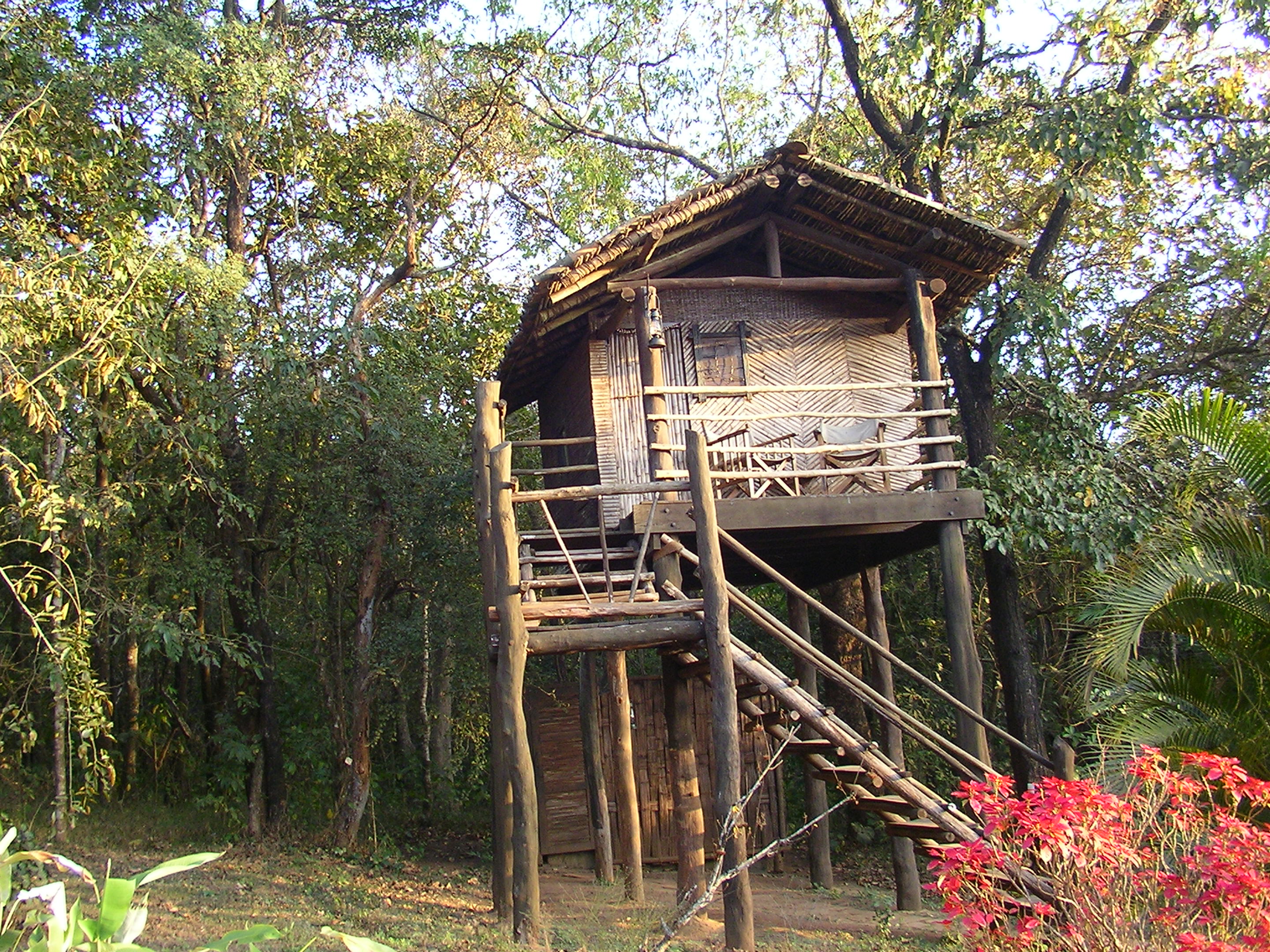 Up in a Tree House at The Hermitage – Karnataka – Wion Travels
